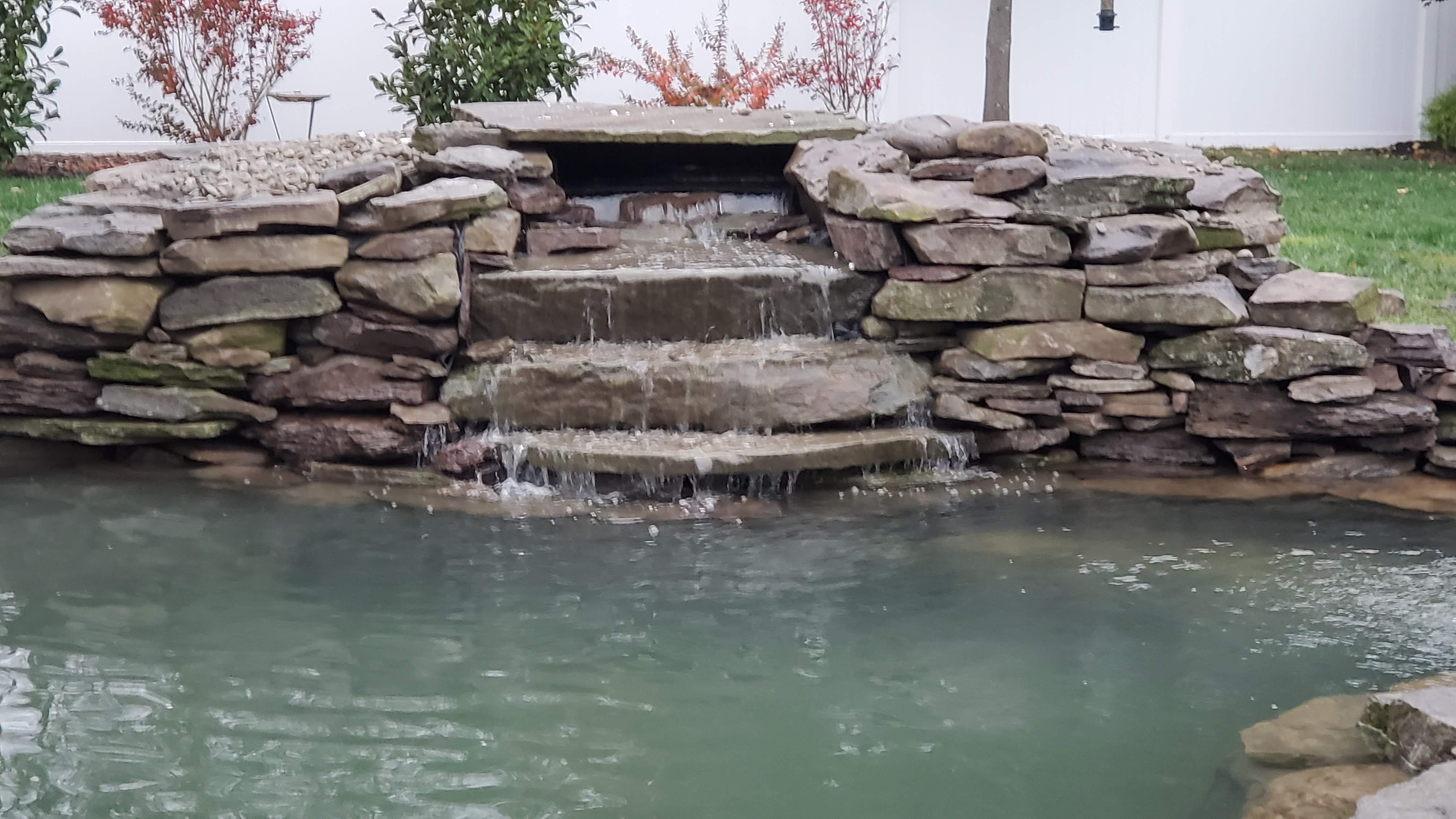Fish Growth = Pond Growth – Castle Aquatics