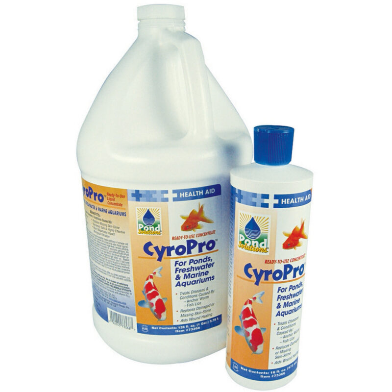 Fish Treatments – Castle Aquatics