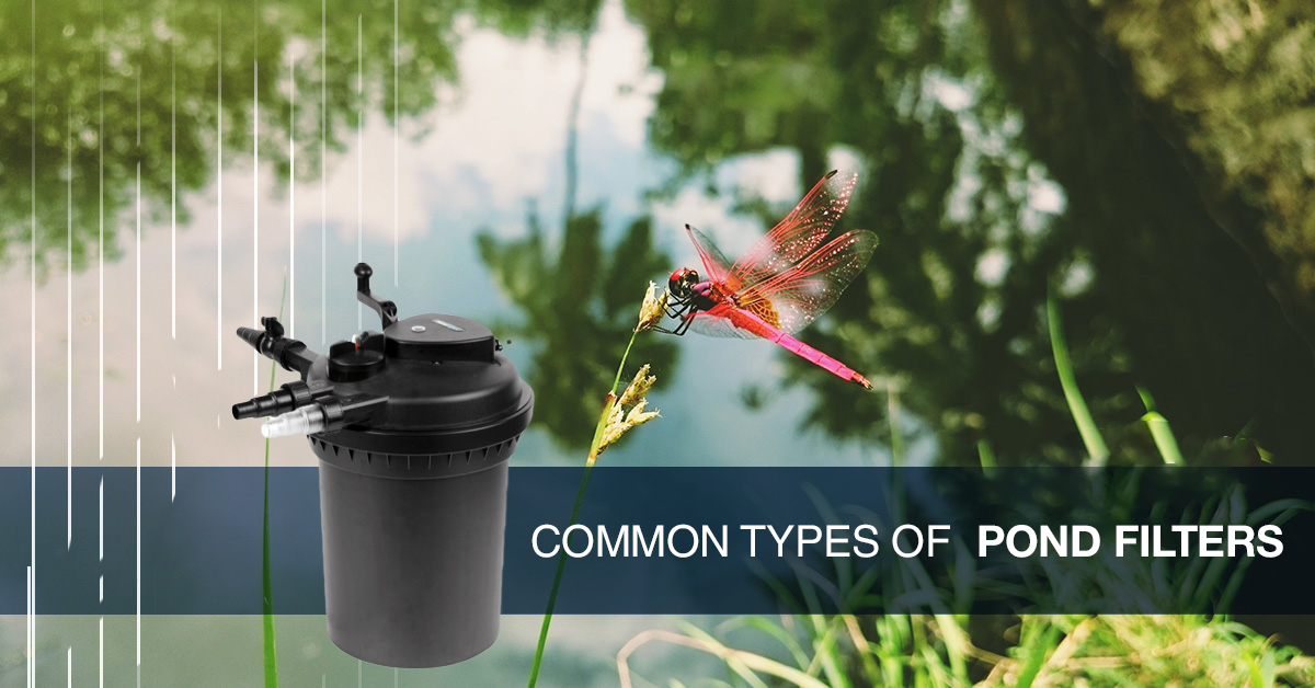 Common Types Of Pond Filters – Castle Aquatics