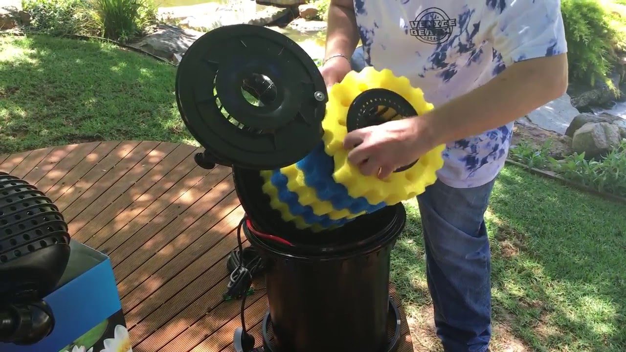 10 Tips to Keep Fish Pond Cool in Summer from Our Water Garden Experts ...