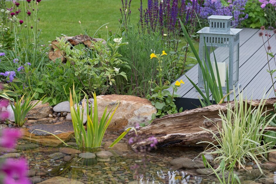 Essential Guide to Get Your Summer Pond Ready – Castle Aquatics